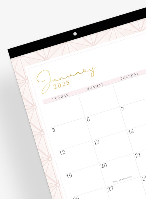 Rachel Parcell x Blue Sky