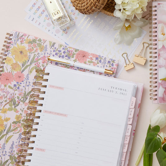 Rachel Parcell x Blue Sky